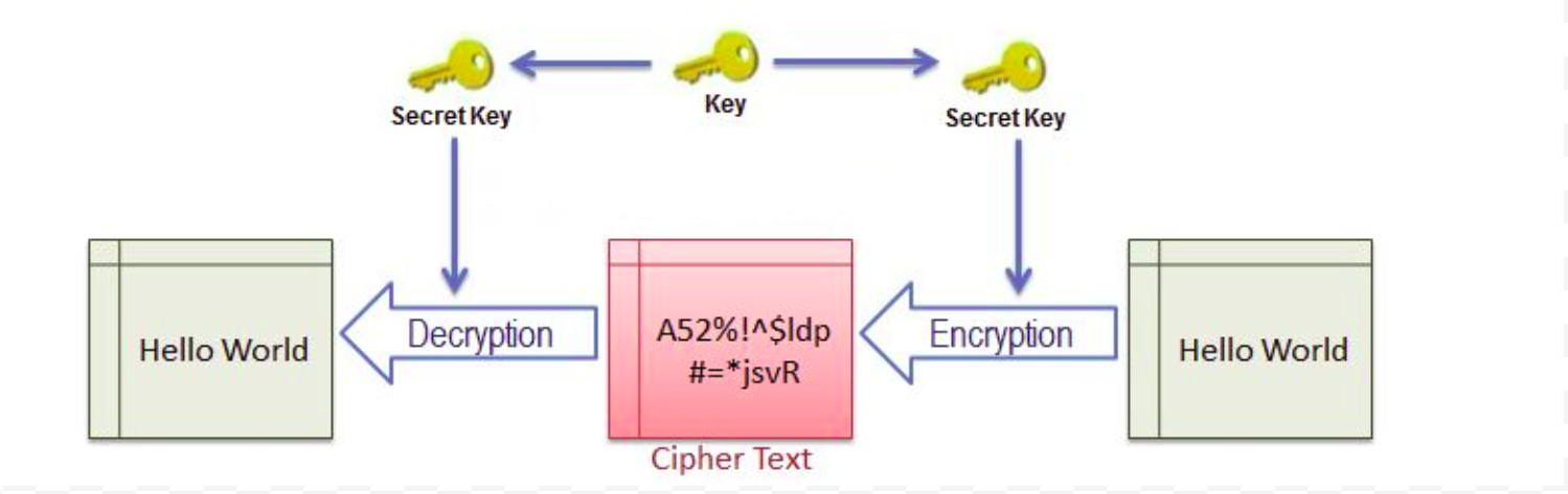 HOME | krishna-waidande-dev.github.io